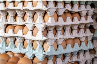 Feed BC in health care - Province of British Columbia
