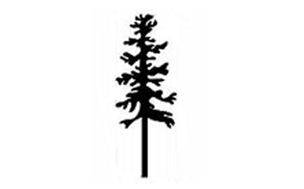 Douglas-fir - Province of British Columbia