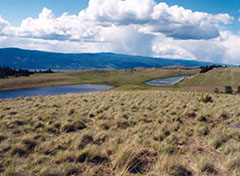 Rangeland ecology - Province of British Columbia