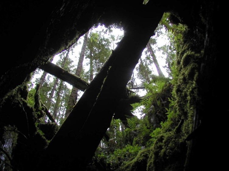 Lesson 2: Karst Features - Province of British Columbia
