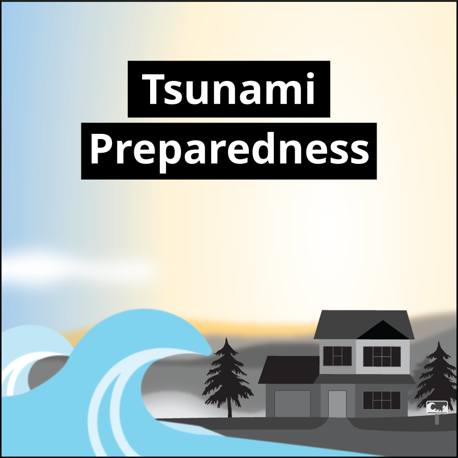Earthquake and tsunami preparedness social media package - Province of ...