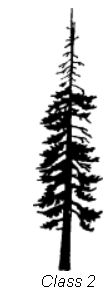 3.3 Wildlife trees - Province of British Columbia
