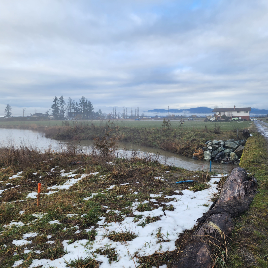 Clayburn Creek - Province of British Columbia