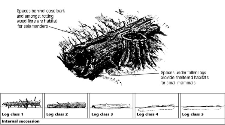 3.4 Coarse woody debris - Province of British Columbia