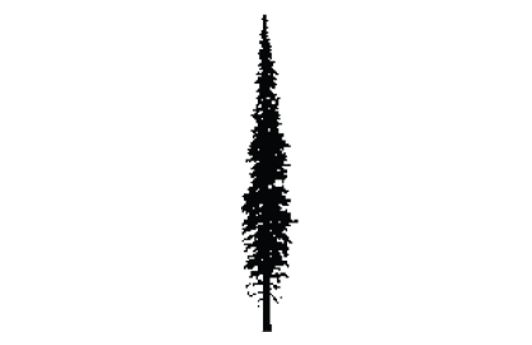 Subalpine fir - Province of British Columbia
