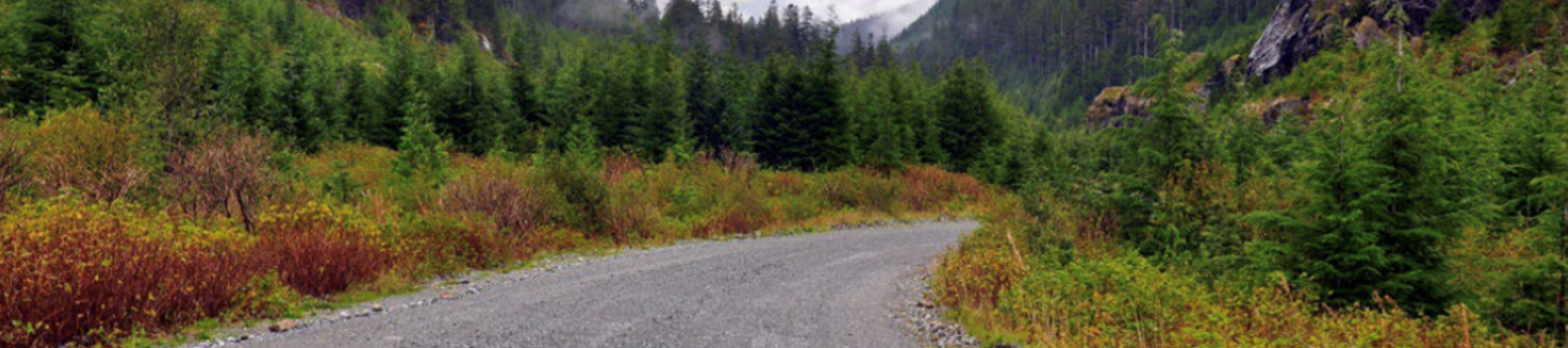 Engineering Manual - Province of British Columbia