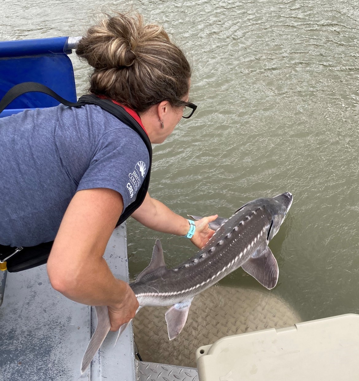 Lower Fraser River White Sturgeon Plan - Province of British Columbia