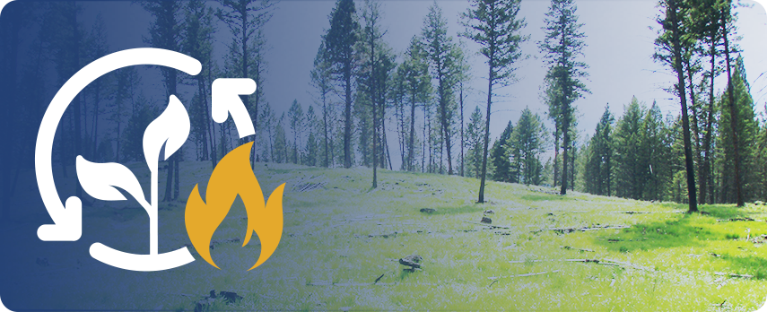 Wildfire Service - Province of British Columbia