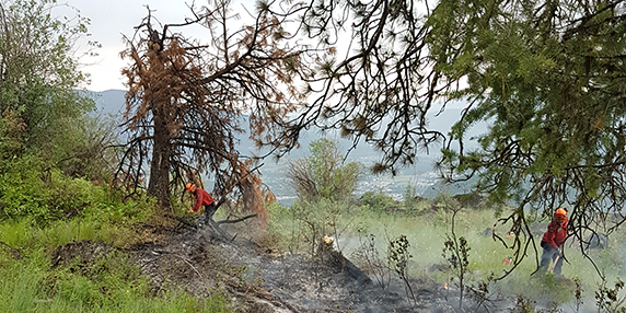 Wildfire Response - Province of British Columbia
