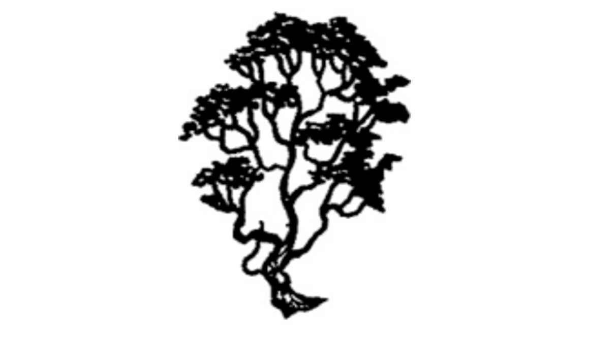 Arbutus - Province of British Columbia