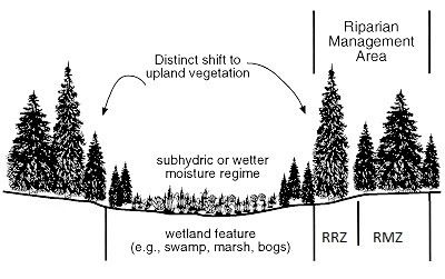 Lesson 4- Pre-field Desktop Information - Province of British Columbia