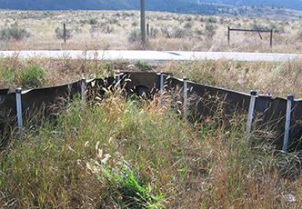 Western Rattlesnake - Province of British Columbia