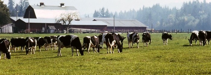 Farming, natural resources and industry - Province of British Columbia