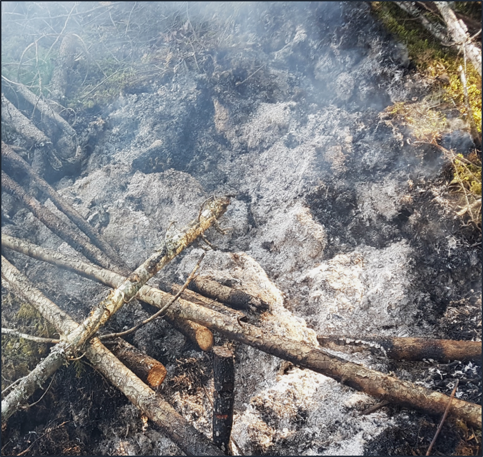 Wildfire rank - Province of British Columbia