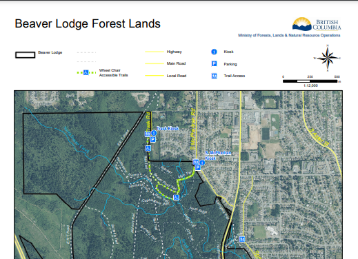 Beaver Lodge Forest Lands - Province of British Columbia