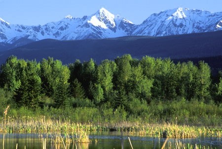 Columbia Wetlands Wildlife Management Area - Province of British Columbia