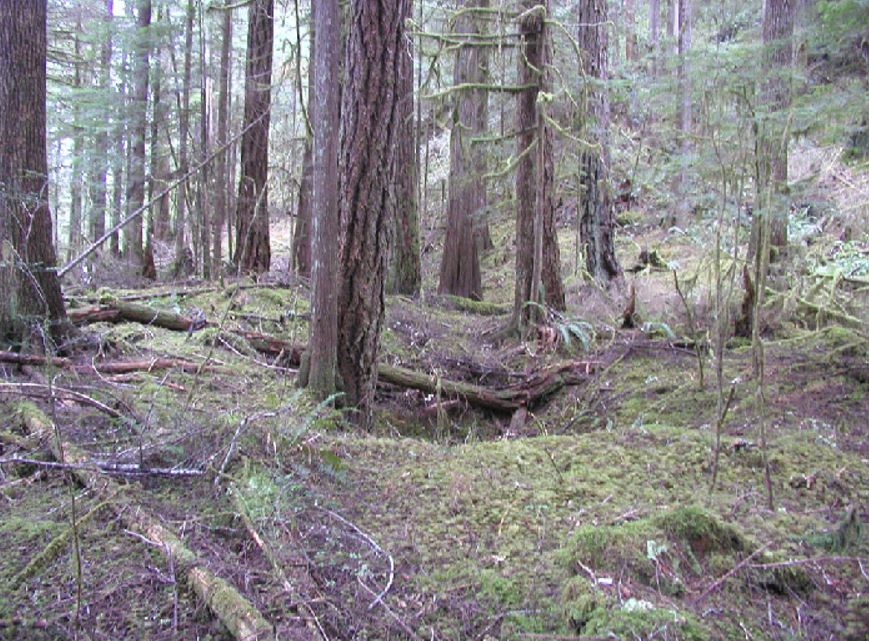 Lesson 2: Karst Features - Province of British Columbia