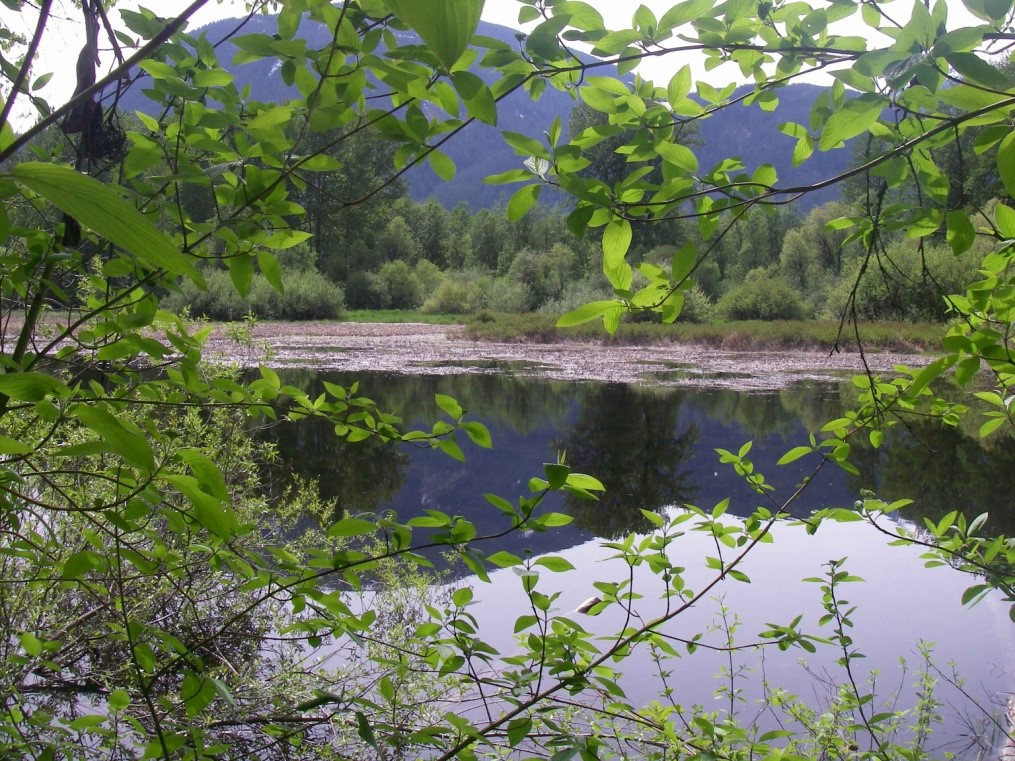 Pemberton Wetlands Wildlife Management Area - Province of British Columbia