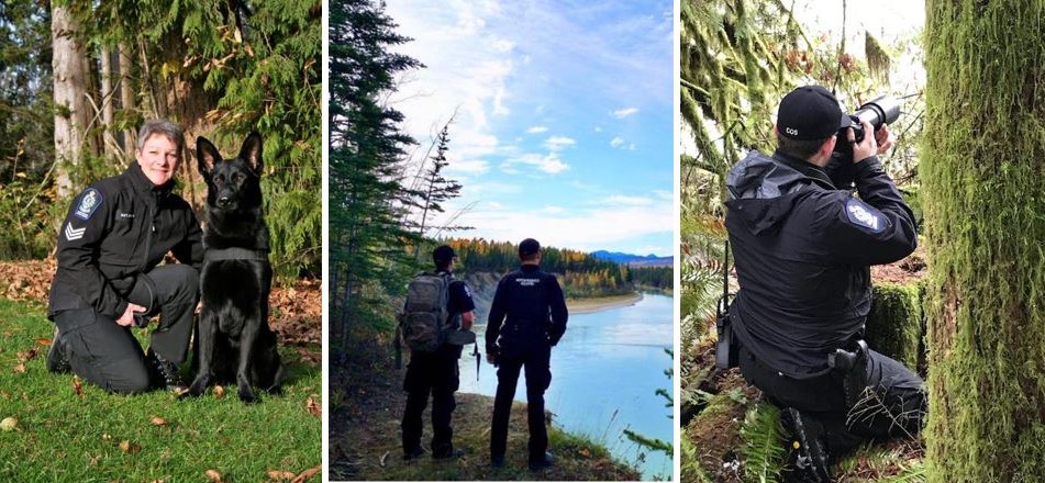 COS Compliments & Complaints Process - Province of British Columbia