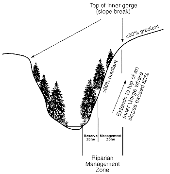 Riparian management area guidebook - Province of British Columbia