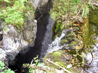 Riparian management for sinking and losing streams and sinking ...