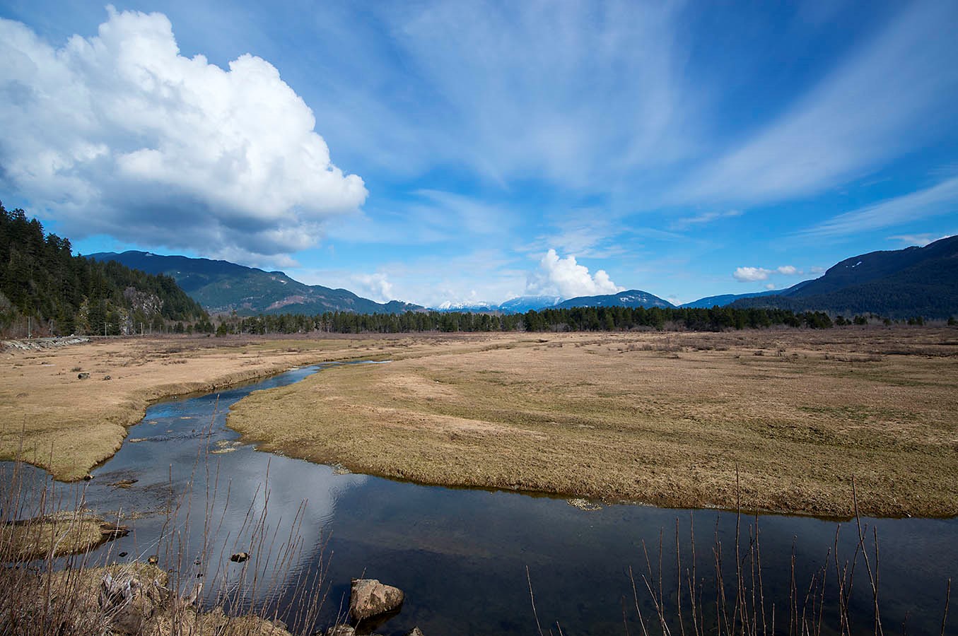 Lhá:lt/Harrison-Chehalis Wildlife Management Area - Province of British ...
