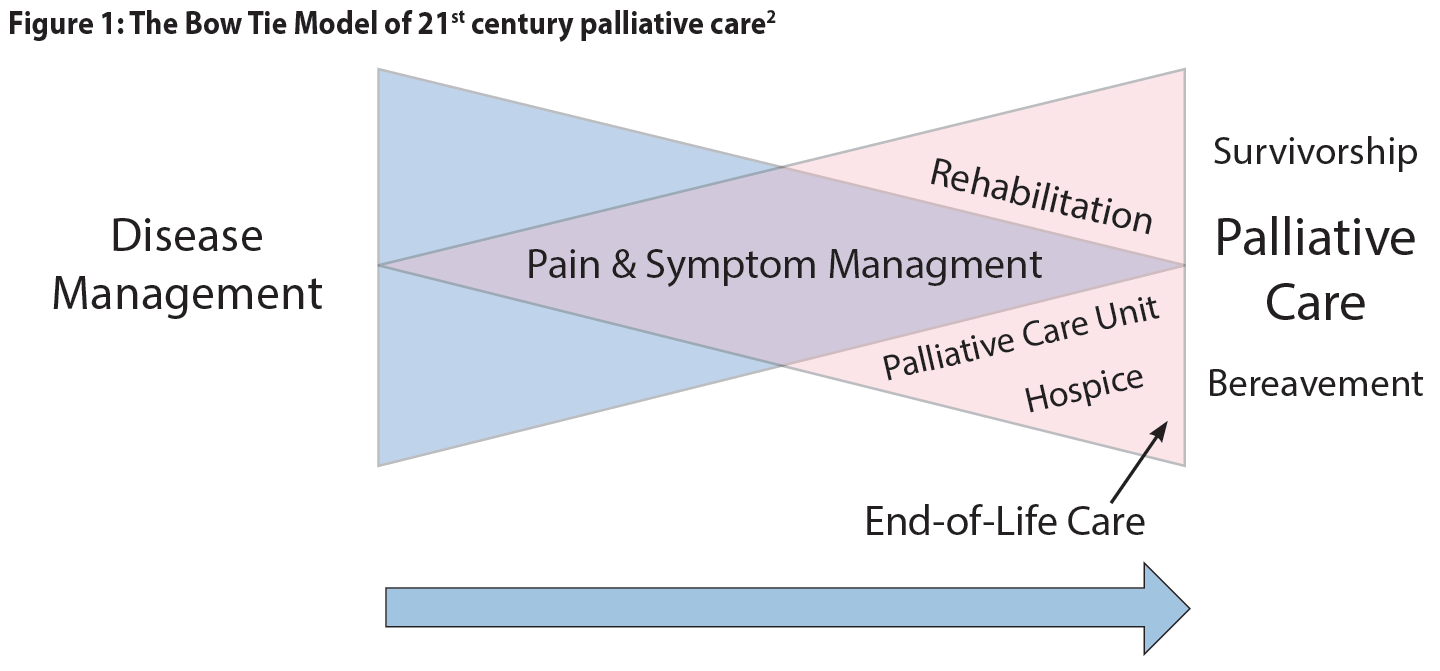 Palliative Care for the Patient with Incurable Cancer or Advanced ...