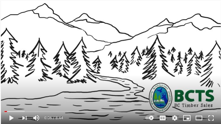 Modernizing B.C.'s forest sector - Province of British Columbia