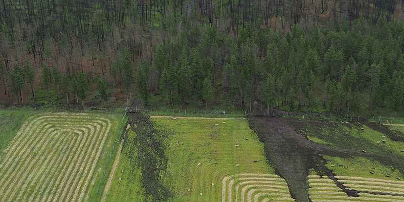 Wildfire Land-Based Recovery - Province of British Columbia