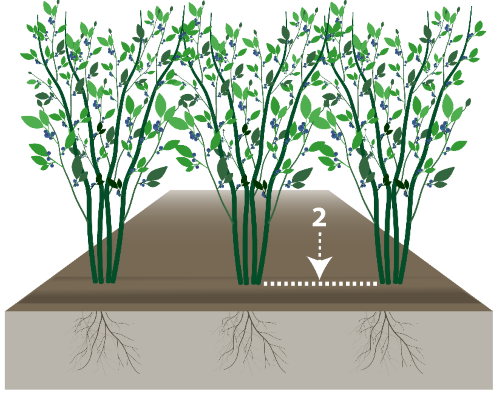 Soil sampling methods and tools - Province of British Columbia