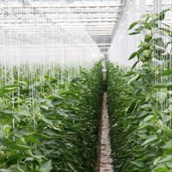 Agriculture and seafood programs - Province of British Columbia