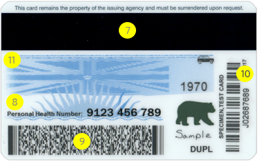 BC Driver's Licence and Services Card - Province of British Columbia