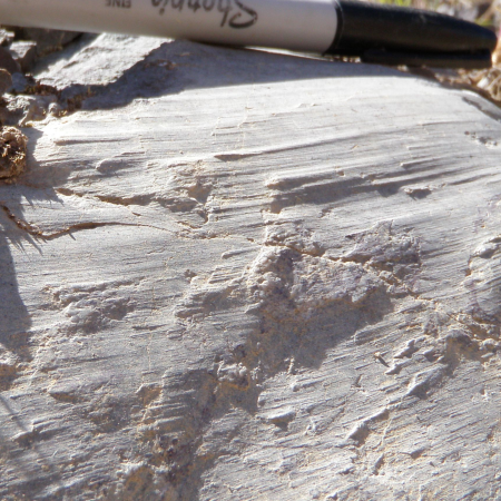 Ice-flow indicators - Province of British Columbia