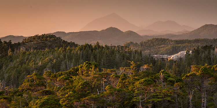Great Bear Rainforest - Land use decision resources - Province of ...