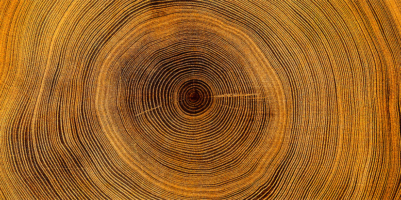 Prepare for wildfire - Province of British Columbia