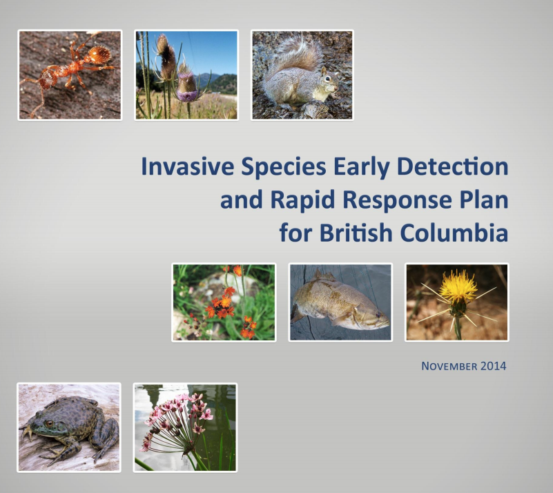 Invasive species early detection and rapid response (EDRR) - Province ...