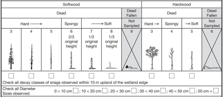 Lesson 6- Transect & Continuous Indicators - Province of British Columbia