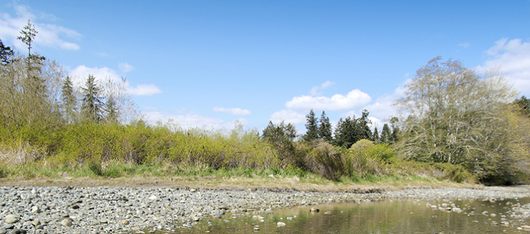 Home - Province of British Columbia