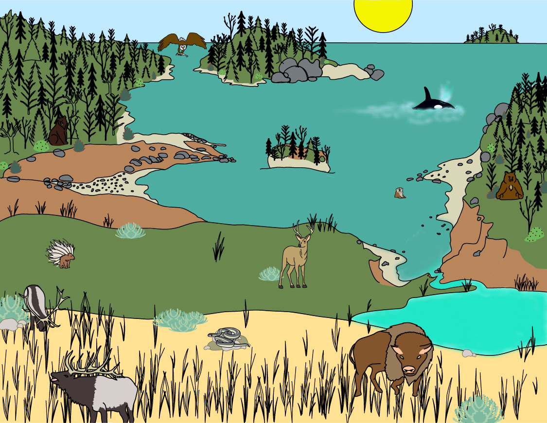 Indigenous ways of knowing - Province of British Columbia