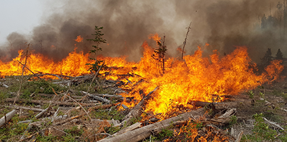 Wildfire Response - Province of British Columbia