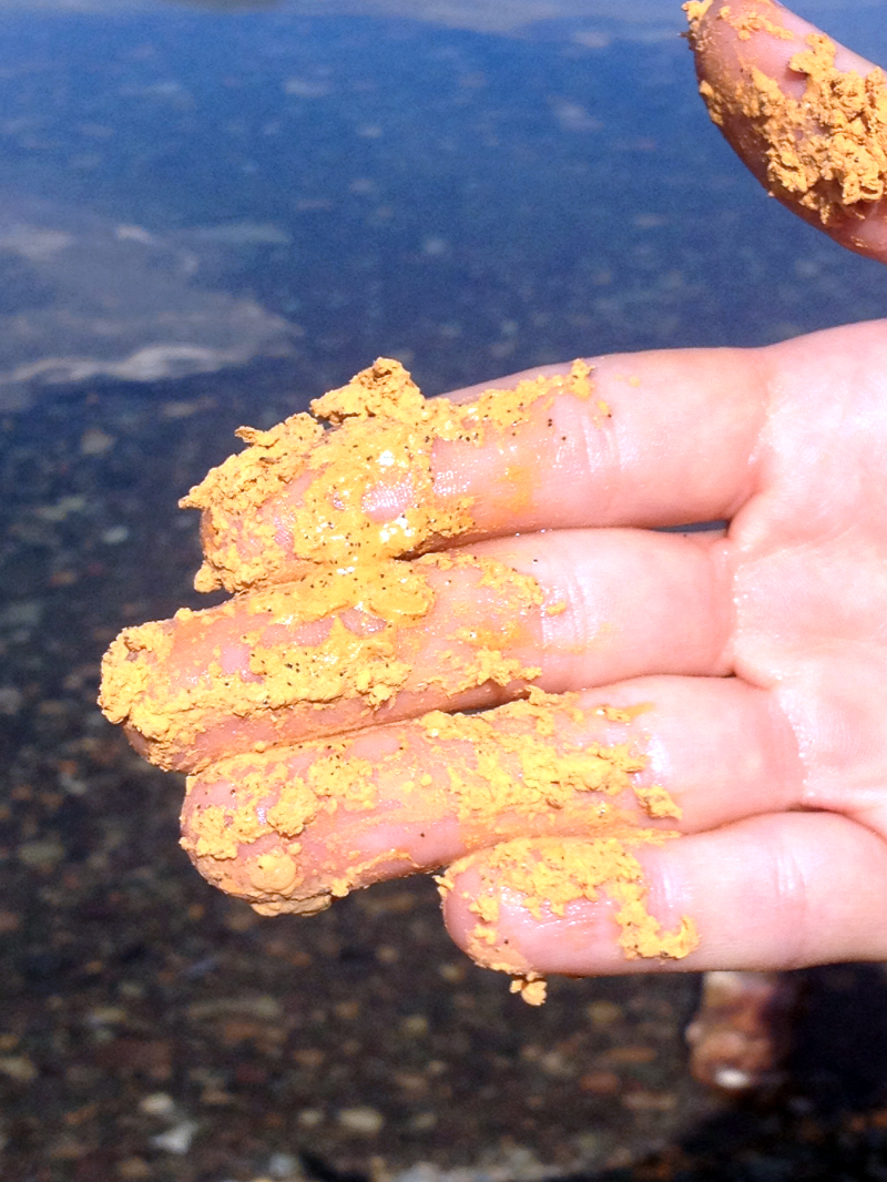 Other aquatic phenomena - Province of British Columbia