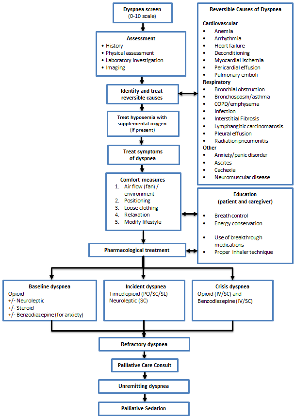 Palliative Care for the Patient with Incurable Cancer or Advanced ...