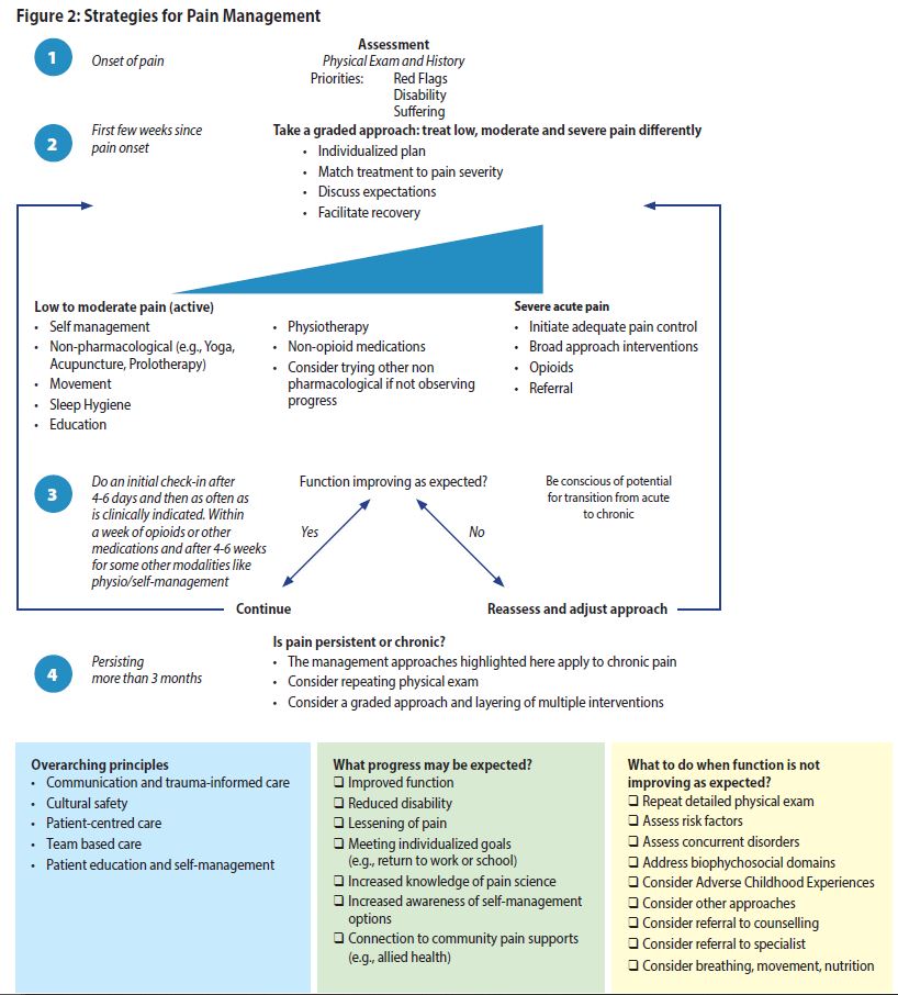 Managing Patients with Pain in Primary Care - Part 1 - Province of ...