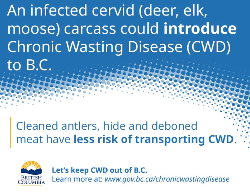 Preventing CWD in B.C. - Province of British Columbia