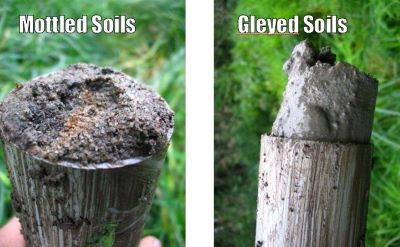Lesson 5- Transect Layout & Wetland Classification - Province of ...