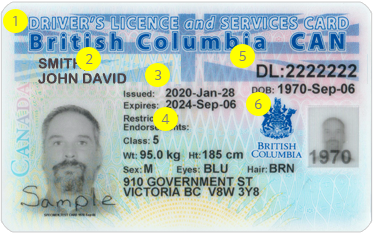 BC Driver's Licence and Services Card - Province of British Columbia