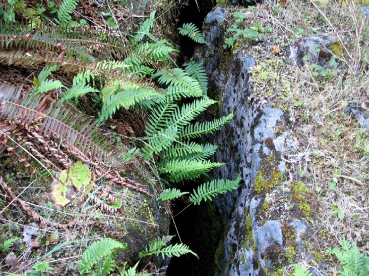 Lesson 2: Karst Features - Province of British Columbia