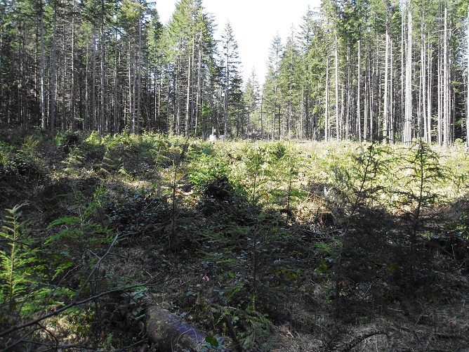 Group Selection - Province of British Columbia