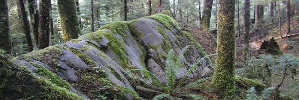 Lesson 2: Karst Features - Province of British Columbia