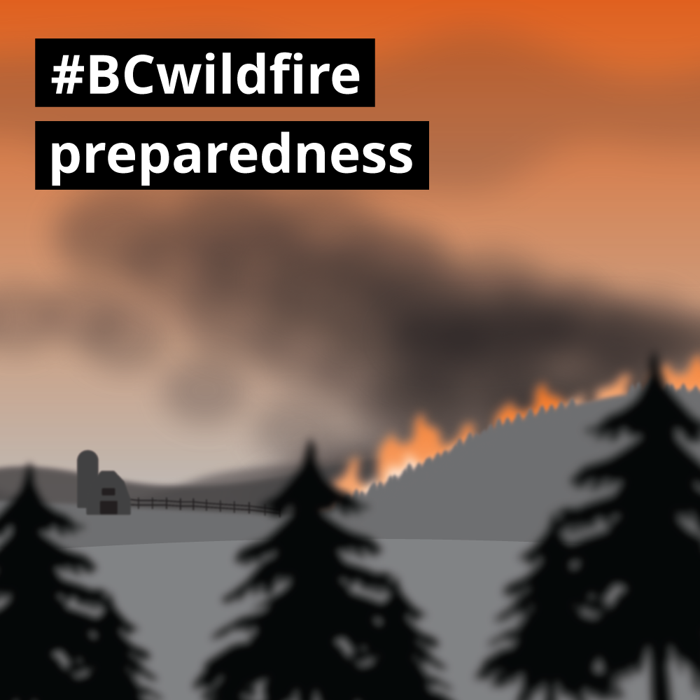Wildfire preparedness social media package - Province of British Columbia